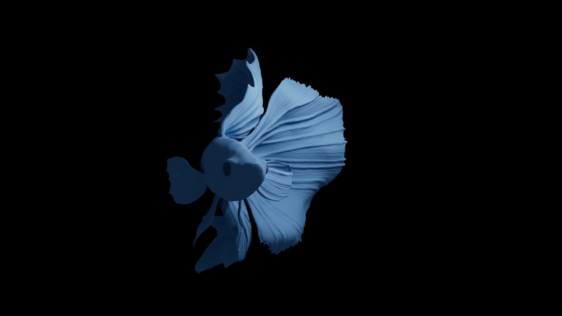 Betta Fish Sculpt on Vimeo