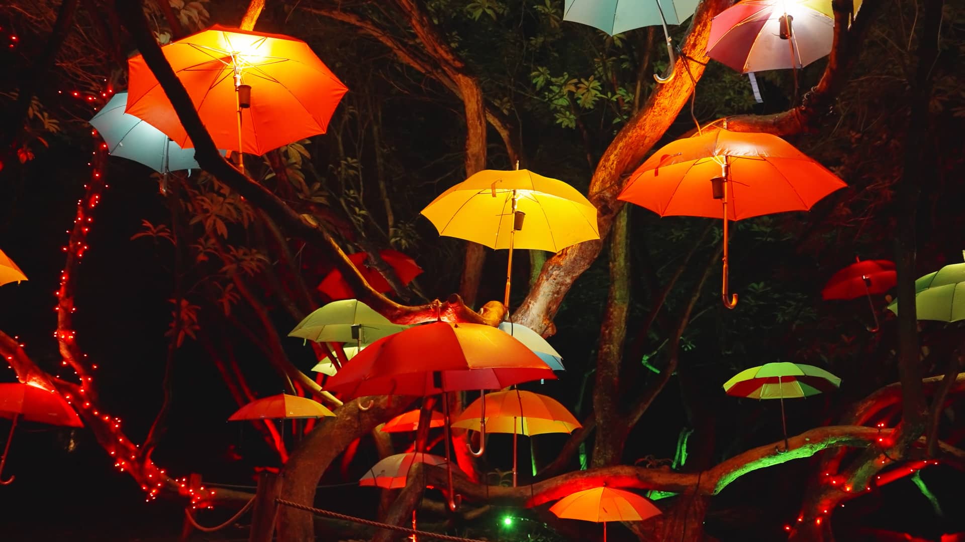 Heligan Night Garden 2022 on Vimeo