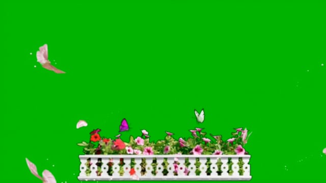 Green Screen Flower Effects Free Stock Video - Pixabay