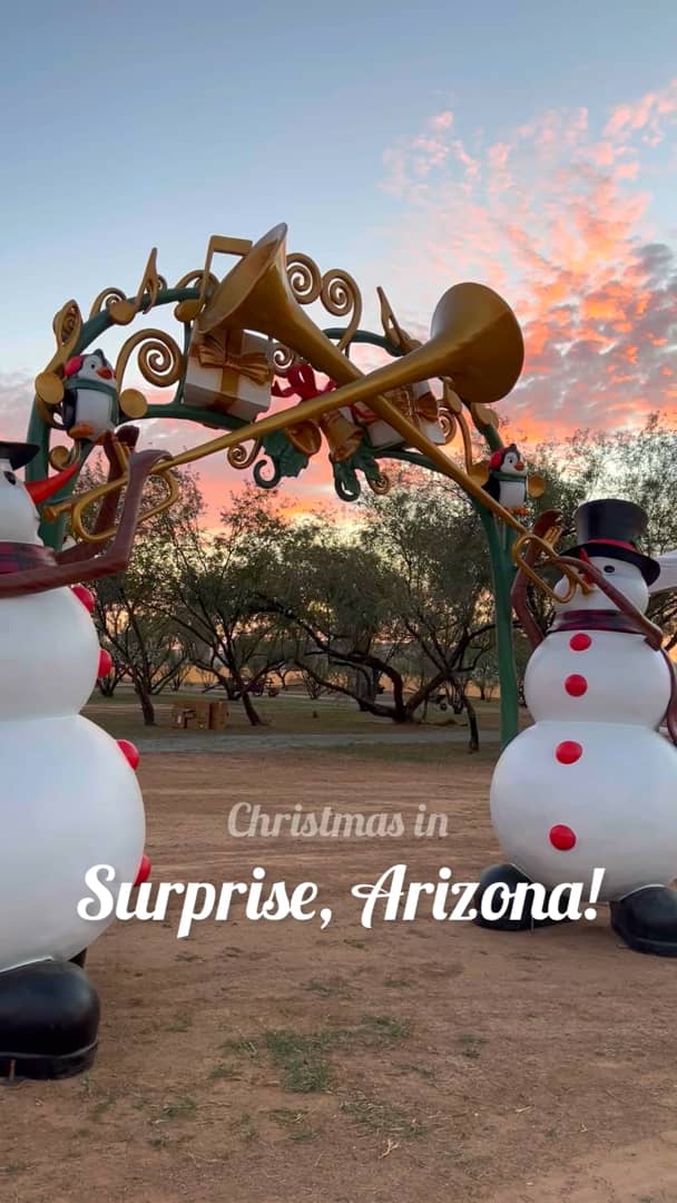 Desert Farm Lights Christmas in Surprise, Arizona!.MOV on Vimeo