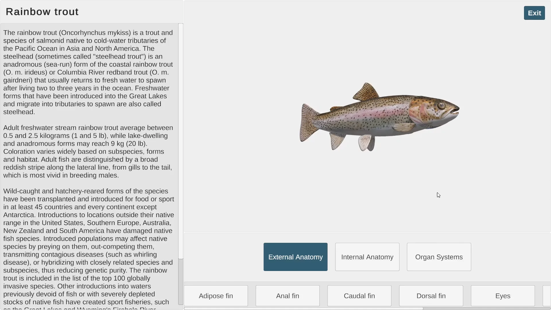 Interactive Virtual Fish Dissection_Demo Video.mp4 on Vimeo
