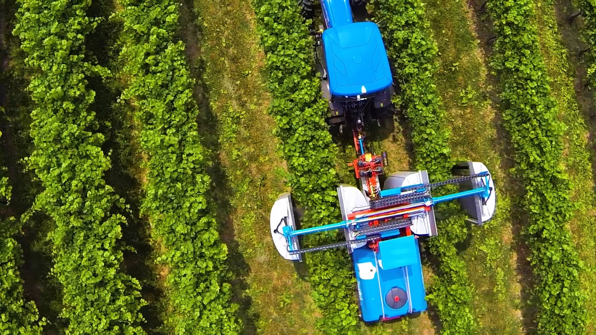 Bertoni - Video Corporate on Vimeo