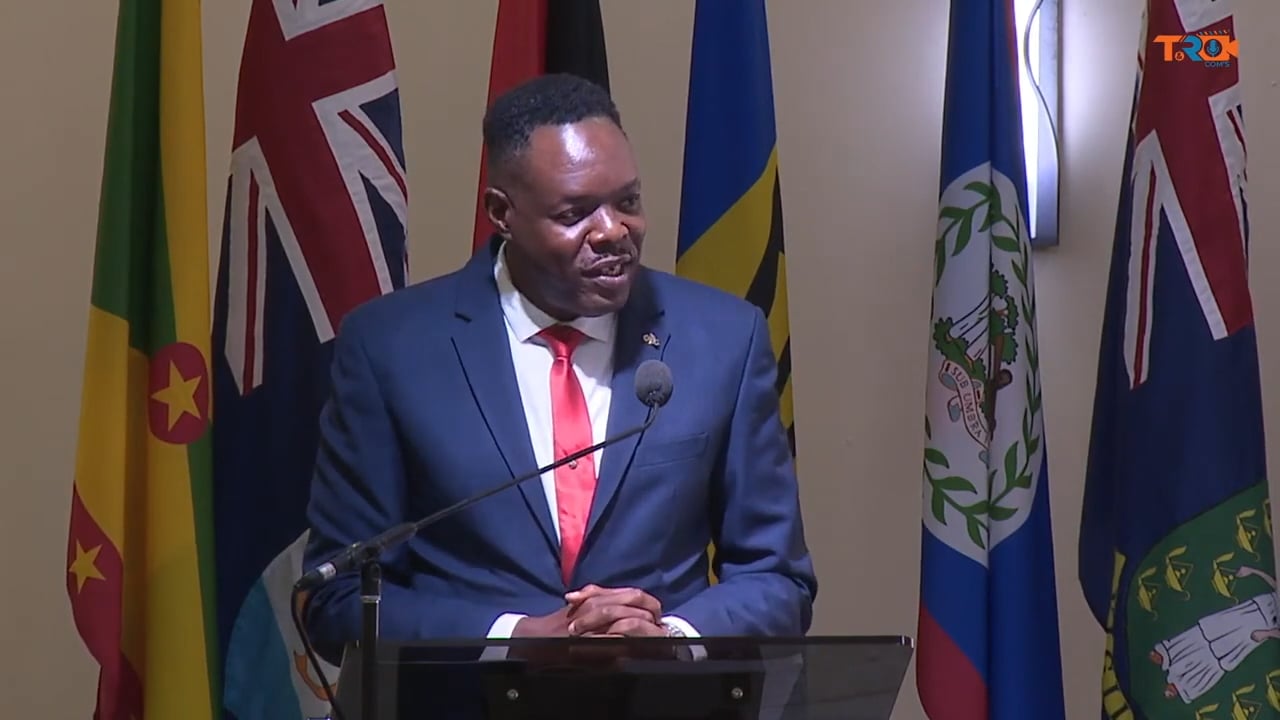 Remarks - Dr Wayne Wesley, Registrar and Chief Executive Officer, CXC ...