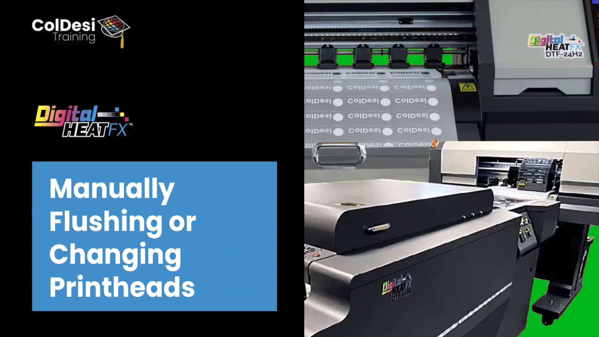 DTF24 - Flushing or Changing Printheads on Vimeo