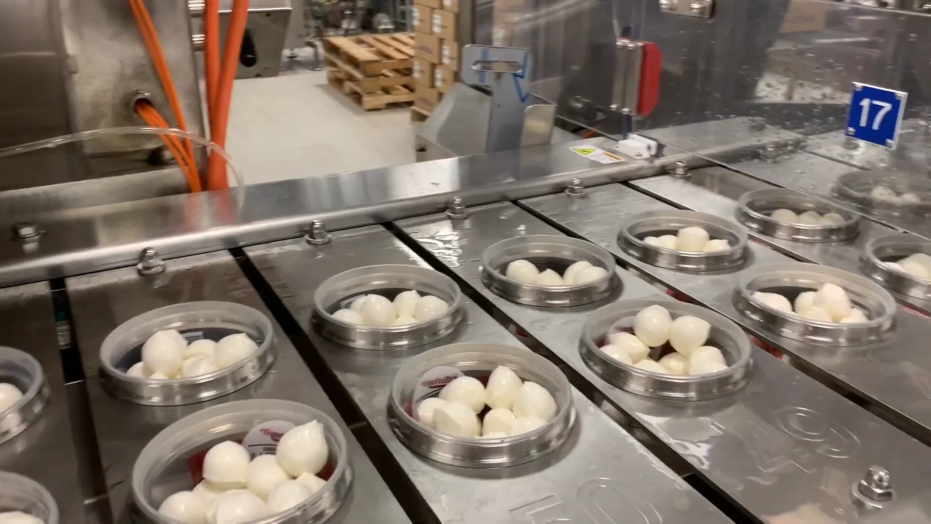 Fill-Tech - IL-21 Cup Filling System with a Fill-Tech MBL-8 Mozzarella ...