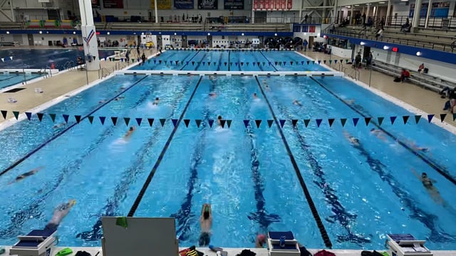 60+ Free Swimming Pool & Pool Videos, HD & 4K Clips - Pixabay