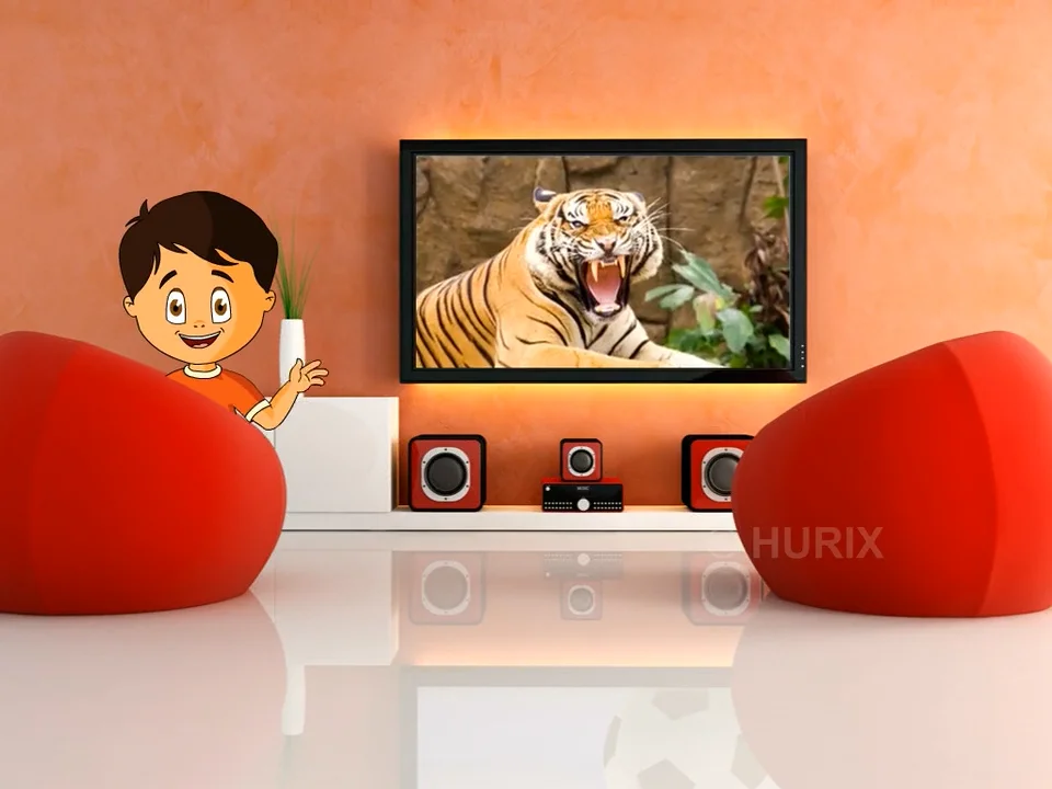 Wild Animals สัตว์ป่า on Vimeo