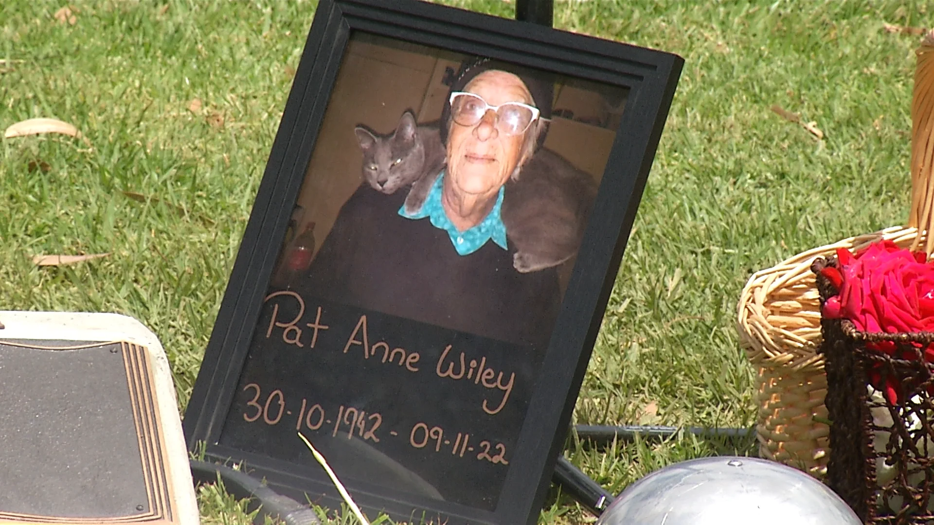 Patricia Wiley on Vimeo