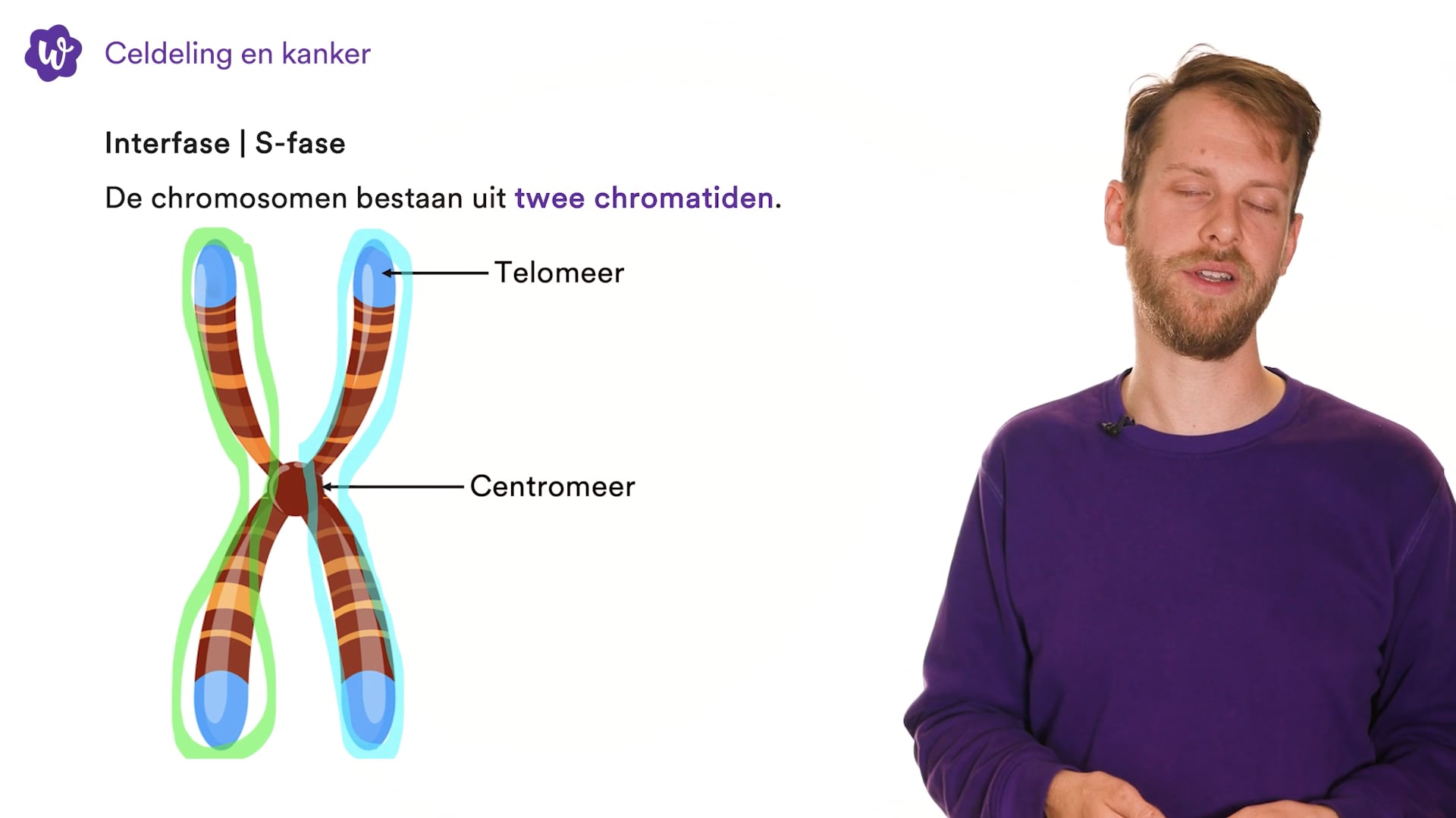 Celdeling en kanker oefenen | StudyGo