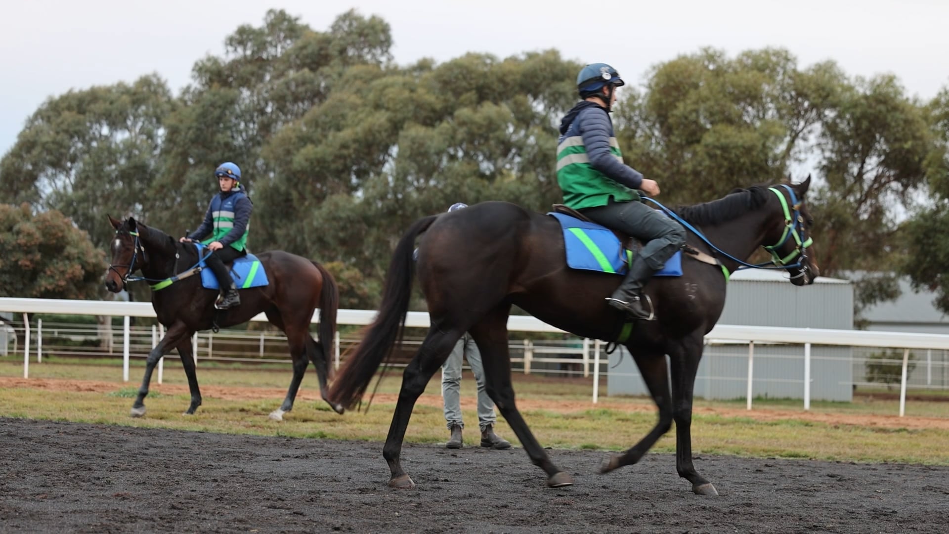 Amplify x Prism - Partnership.mp4 on Vimeo