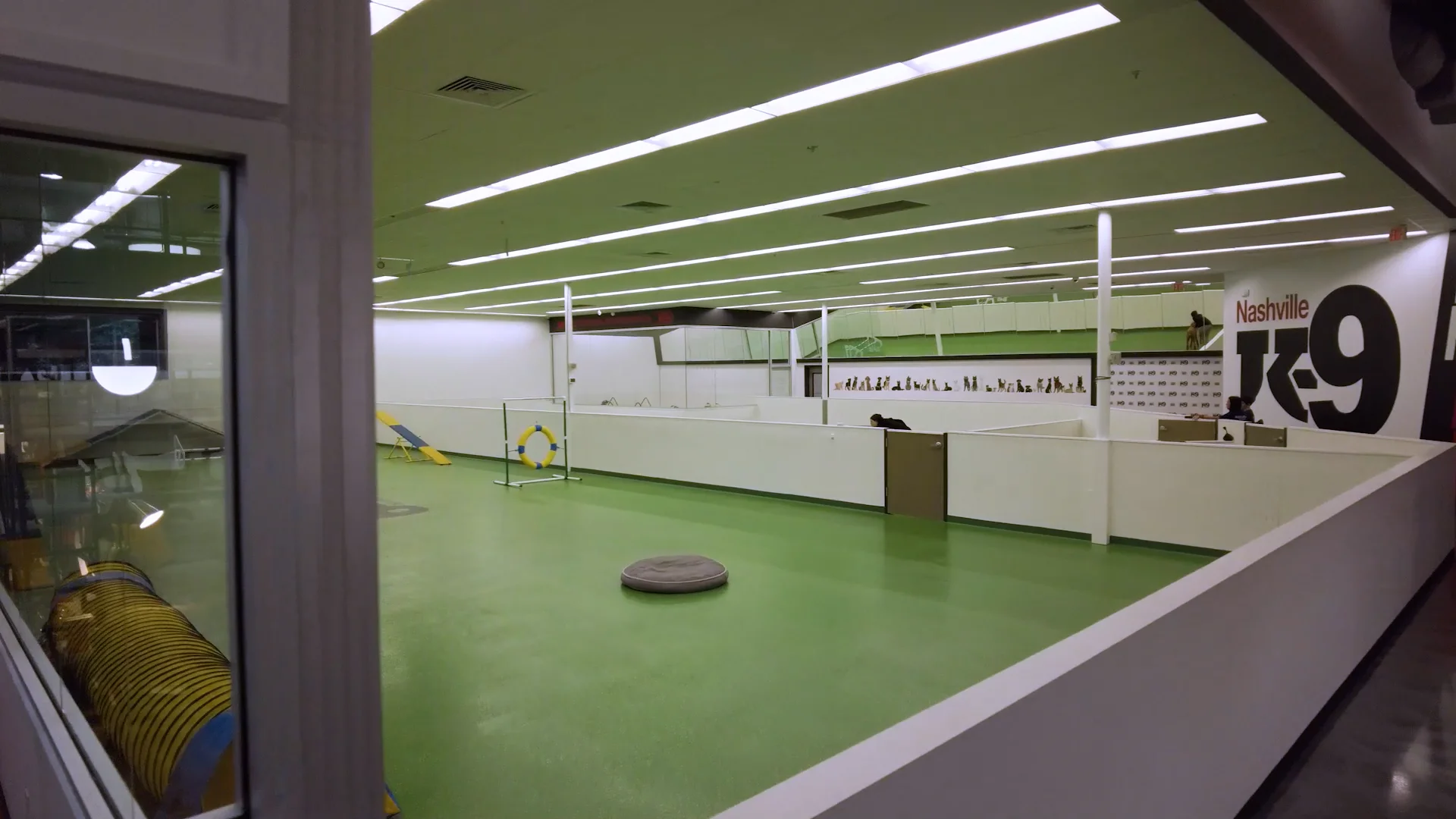 Bloomberg Worlds Greatest - Nashville K9 on Vimeo