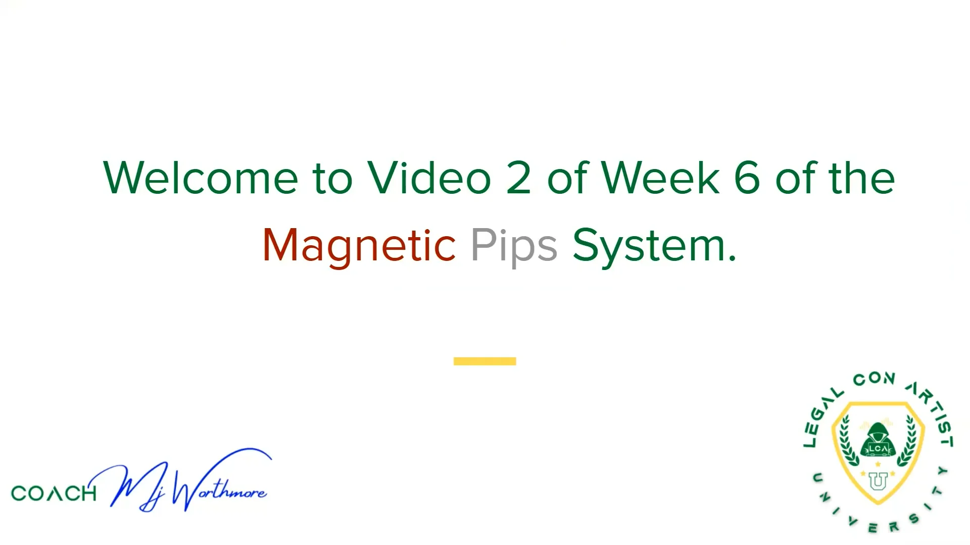 The Magnetic Pips System _ Week 6 _ Video 2 _ Why & How to Use the Fib ...