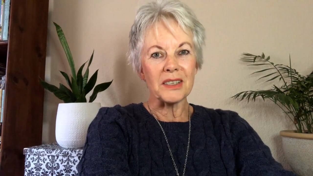 Elsa Kruger Bridge on Vimeo