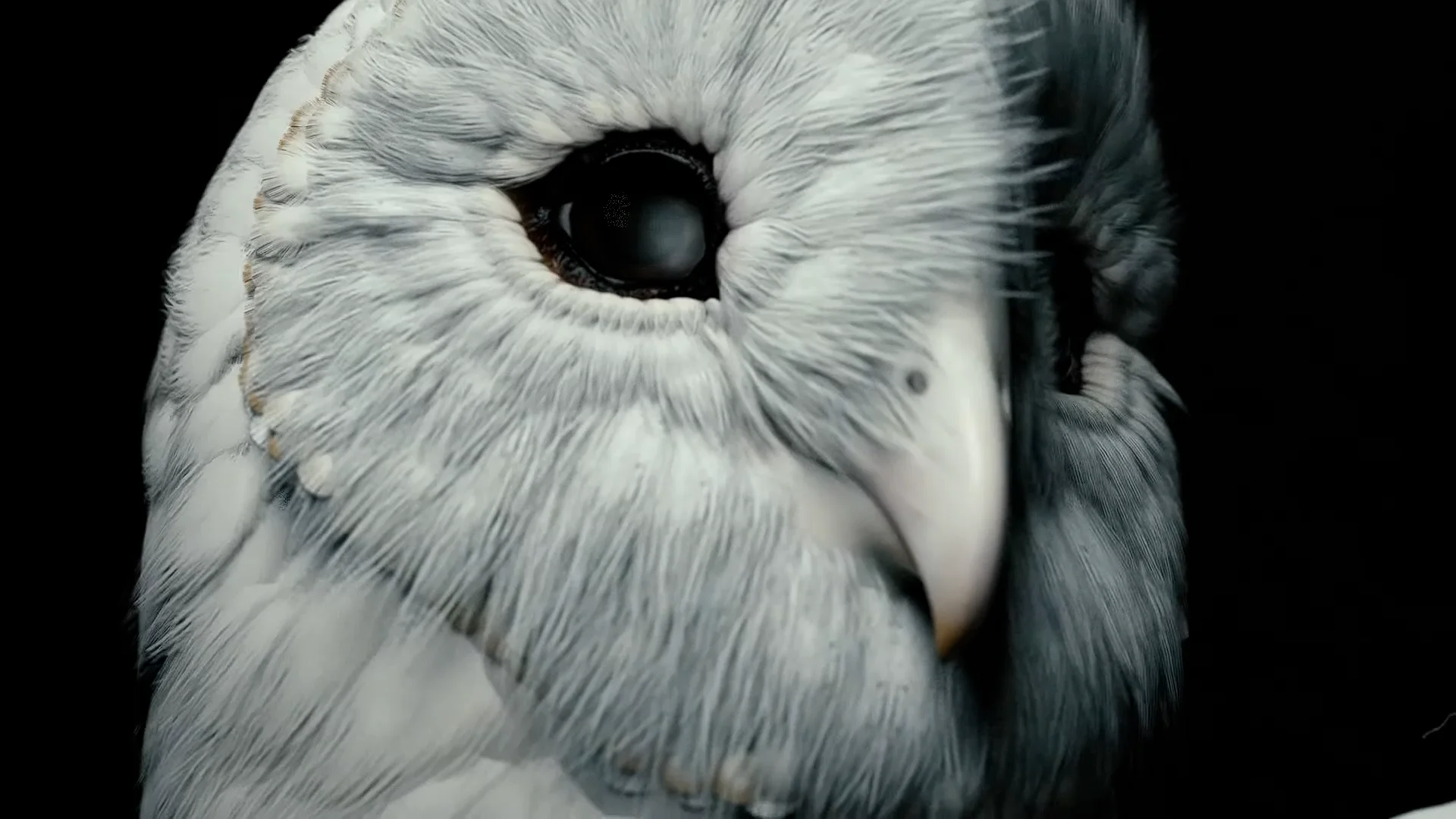 (296) Deftones – Royal (Official Visualizer) - YouTube and 2 more pages ...