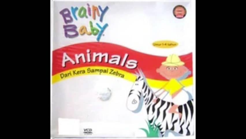 Brainy Baby Animals Indonesia (Trailer) on Vimeo