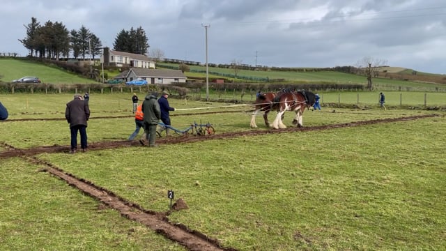 Horses Ploughing Agriculture - Free video on Pixabay