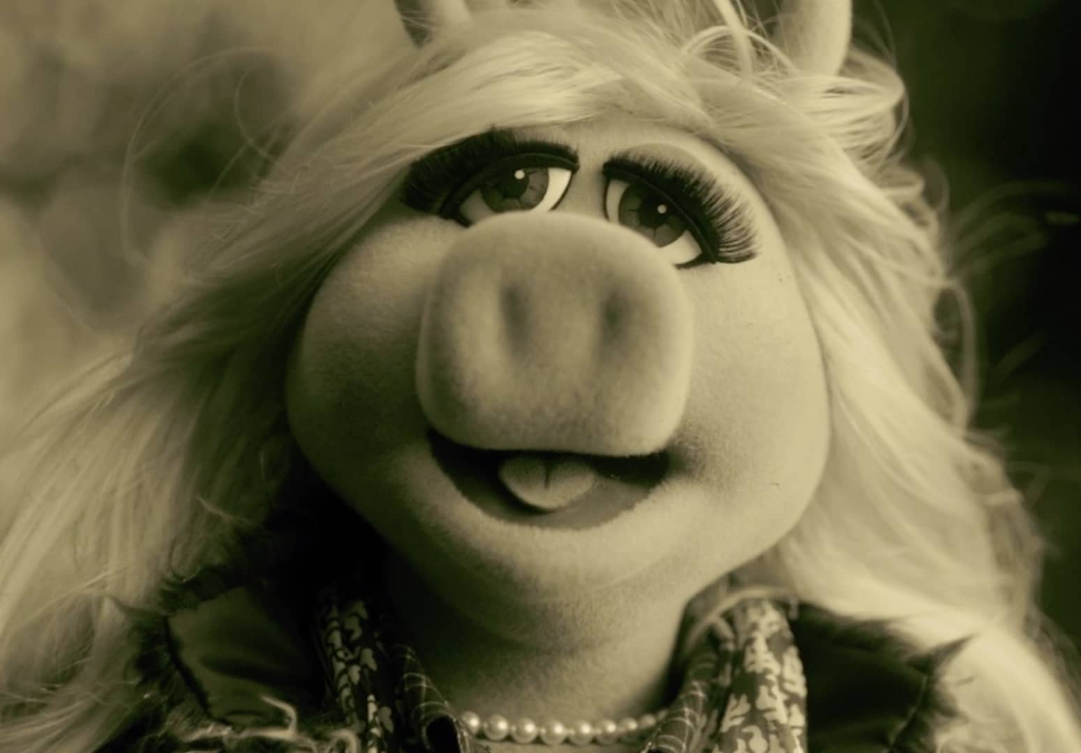 The Muppets | "Hello" (2:41) on Vimeo