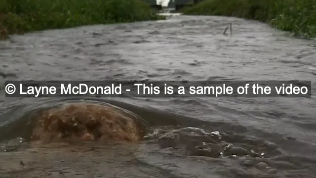 Layne McDonald - Stock Video - waterfall 17 sample on Vimeo