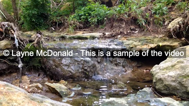 Layne McDonald - Stock Video - Water - Stream 5 sample on Vimeo