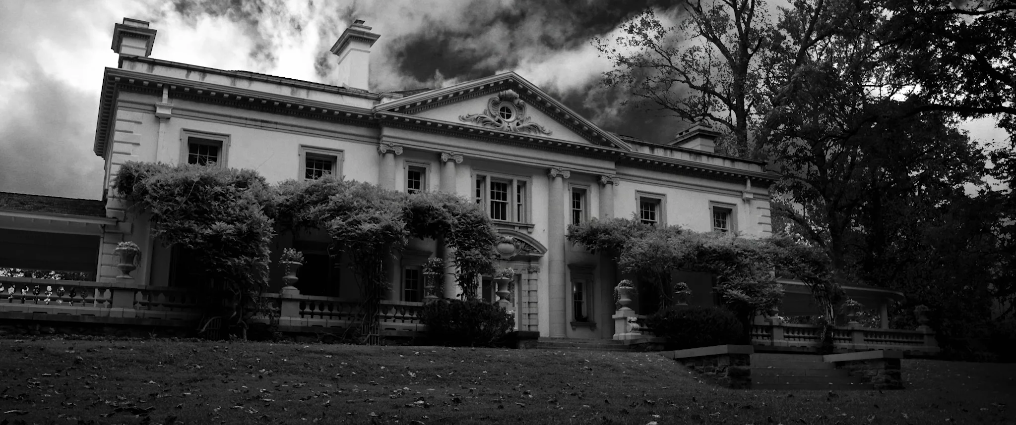 Leda Official Trailer on Vimeo