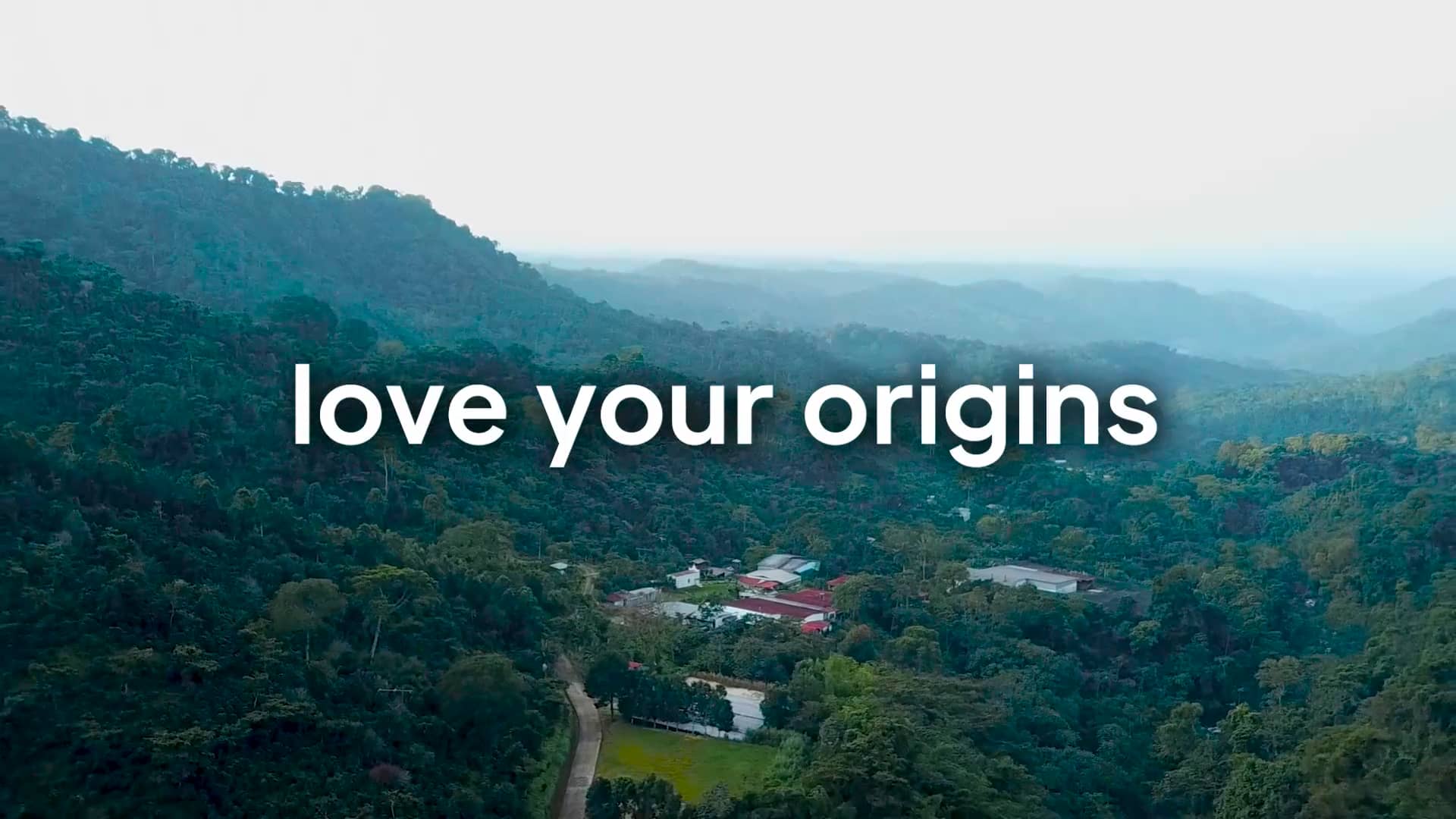 ECOM Coffee on Vimeo