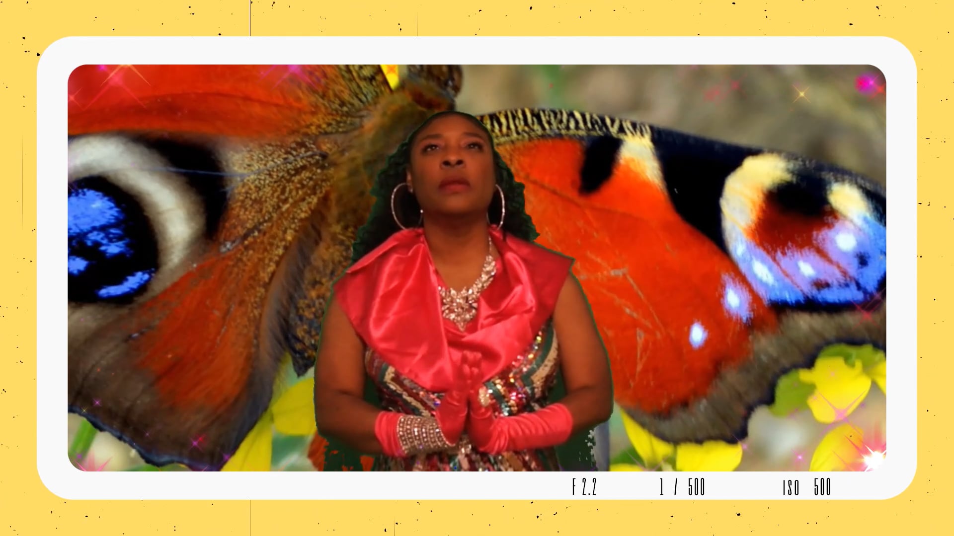 Music Video Miracles, Nancy the Butterfly Film.mov on Vimeo