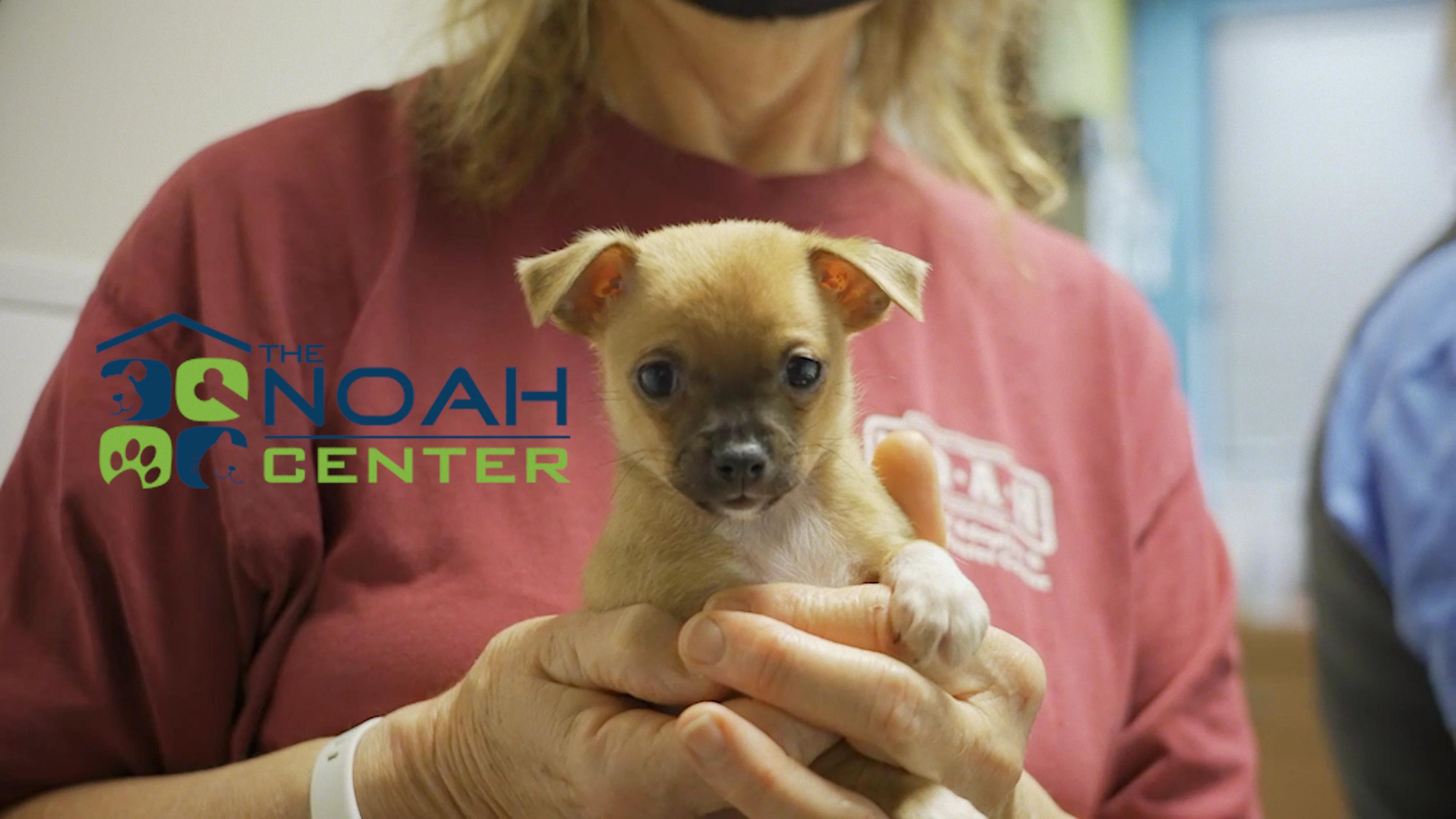 The NOAH Center: "Music for the Animals" 2021 on Vimeo