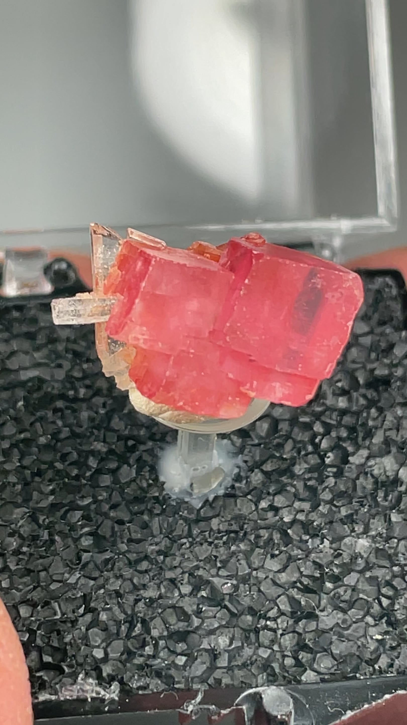 Img E0147 On Vimeo