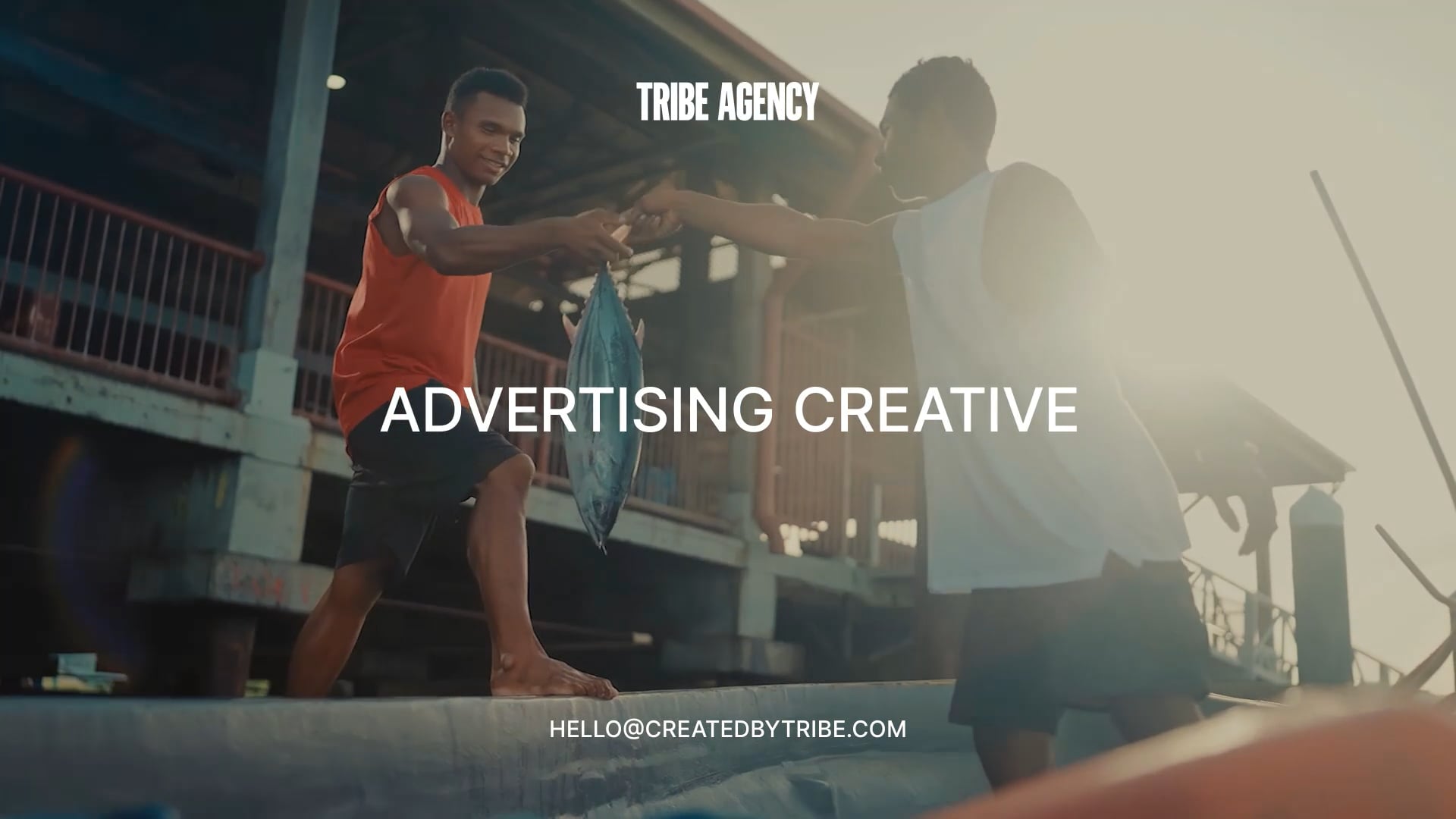 Tribe Agency Services on Vimeo
