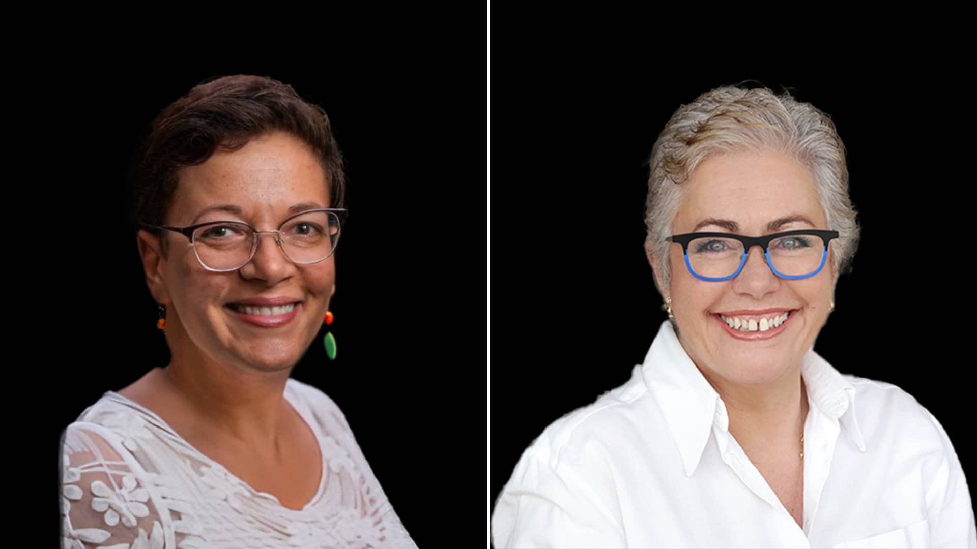 Preview: Lawyers on Video ;with Elisabeth Steele and Sue-Ella Prodonovich on Vimeo