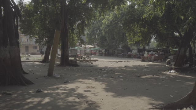 Kabirvad Kabir Banyan Free Stock Video - Pixabay