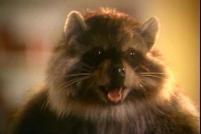 La-Z-Boy Racoons: "Wendel and Al" on Vimeo