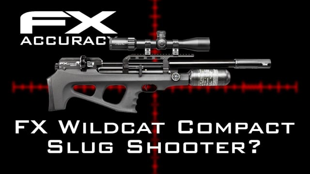 Wildcat MKIII Compact Slug Accuracy - FX Airguns Accuracy - Airgun101