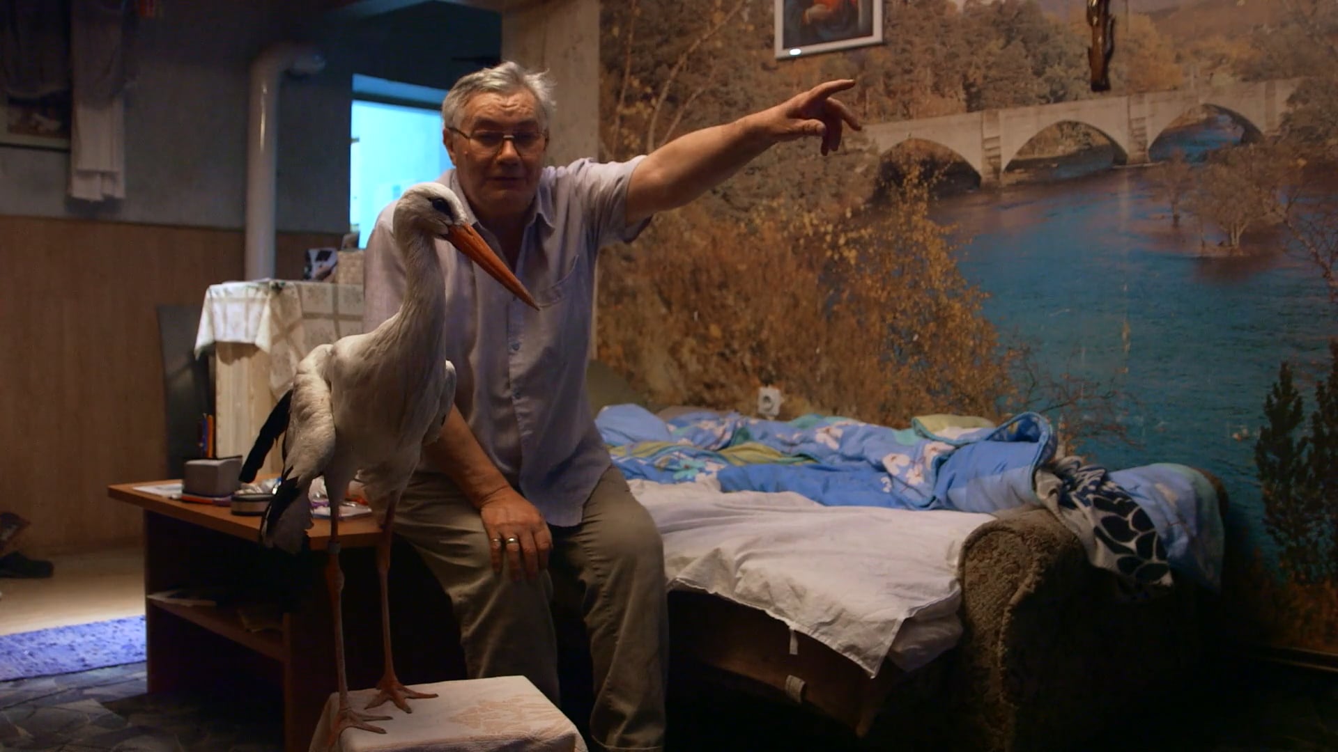 Watch Storkman Online | Vimeo On Demand on Vimeo