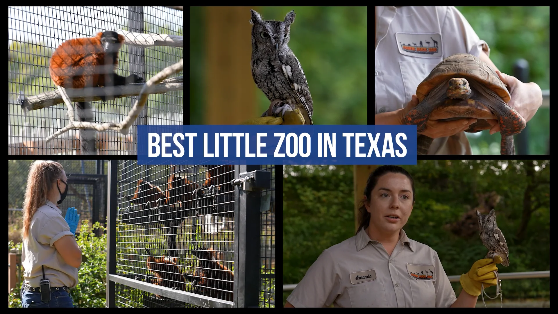 Gainesville EDC Overall - Social Media Clips - With Animated Text Intro ...