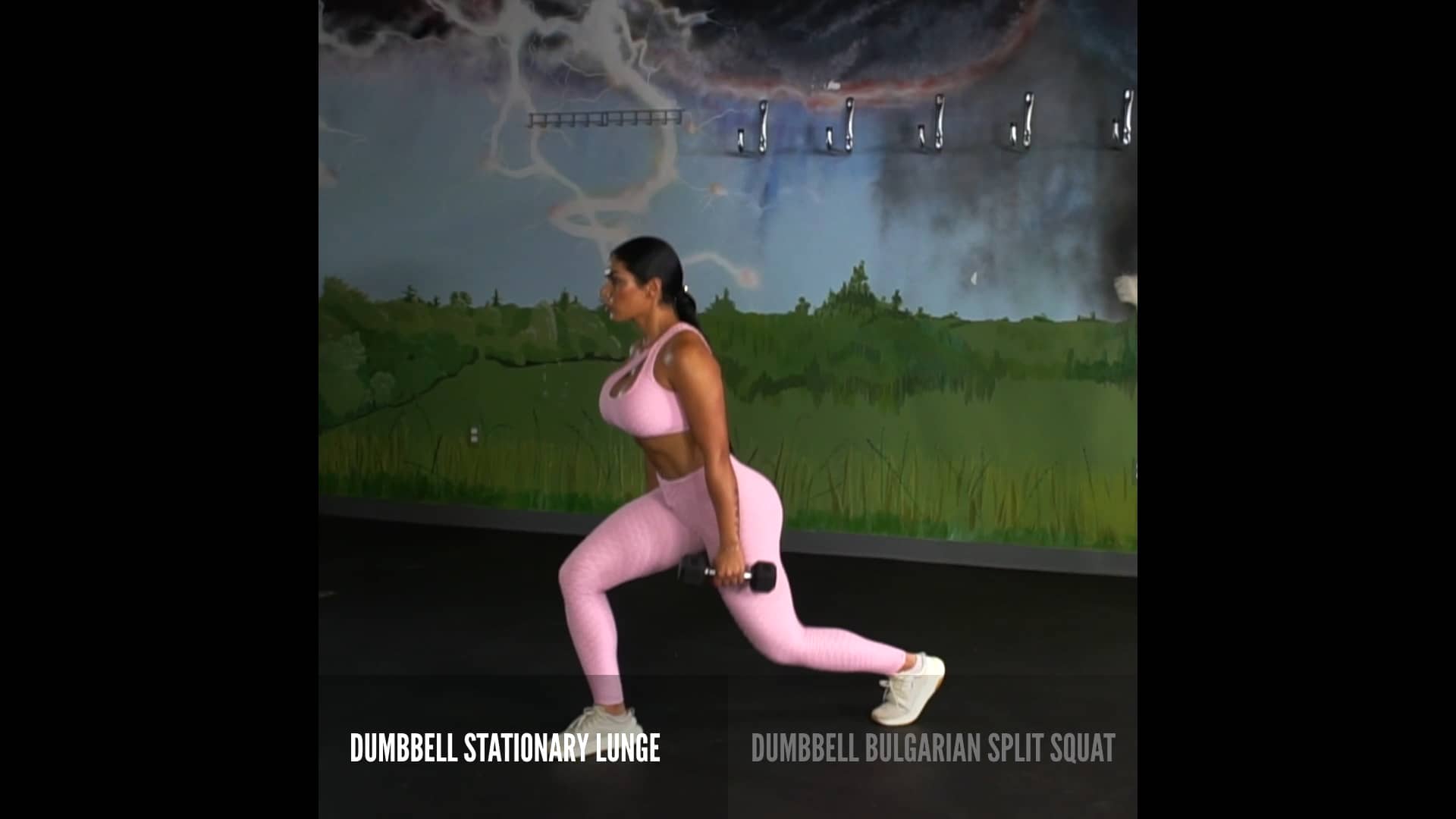 Dumbbell Stationary Lunge & Dumbbell Bulgarian Split Squat on Vimeo