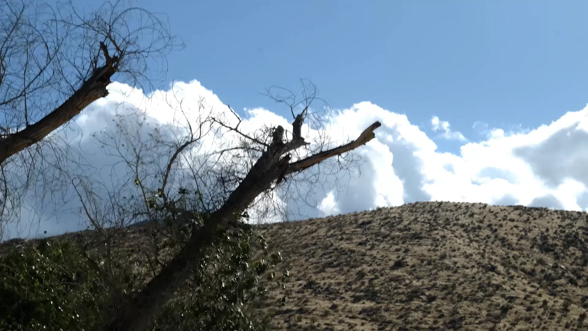 Film 104 Module 12 Assignment .mp4 on Vimeo