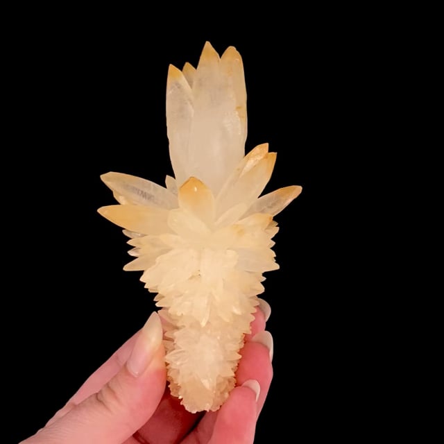 Calcite (''flower'') | Guilin, Guangxi, China