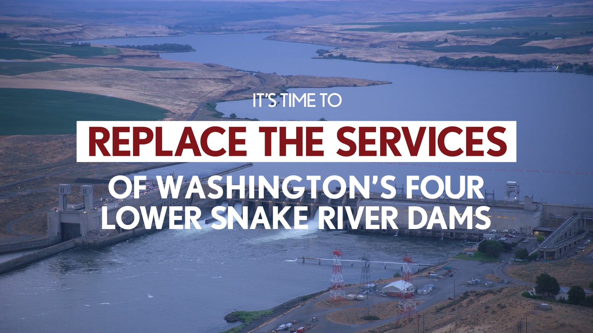 Salmon Orca Project on Vimeo