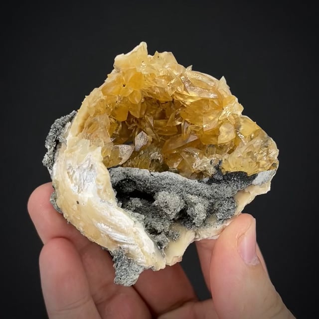 Calcite in Clam Shell | Rucks' Pit, Fort Drum, Okeechobee Co., Florida, USA