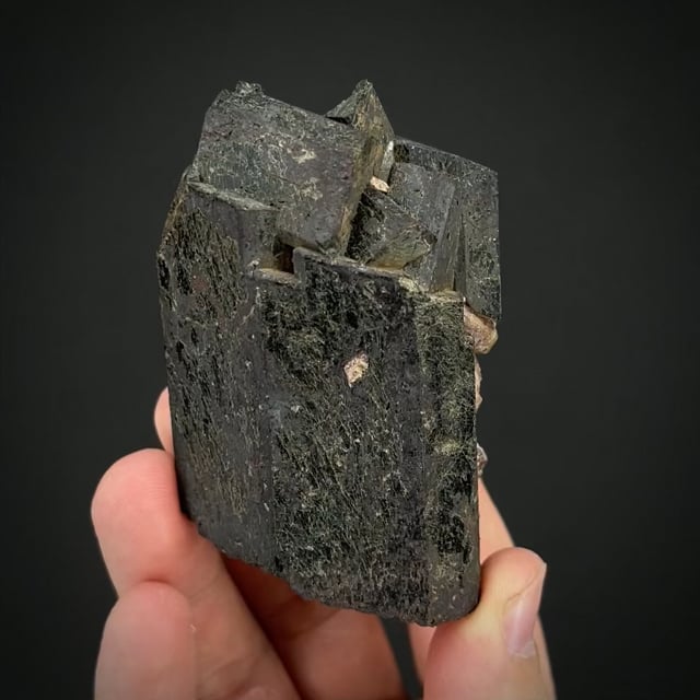 Ex Collection - Kurt Hefendehl