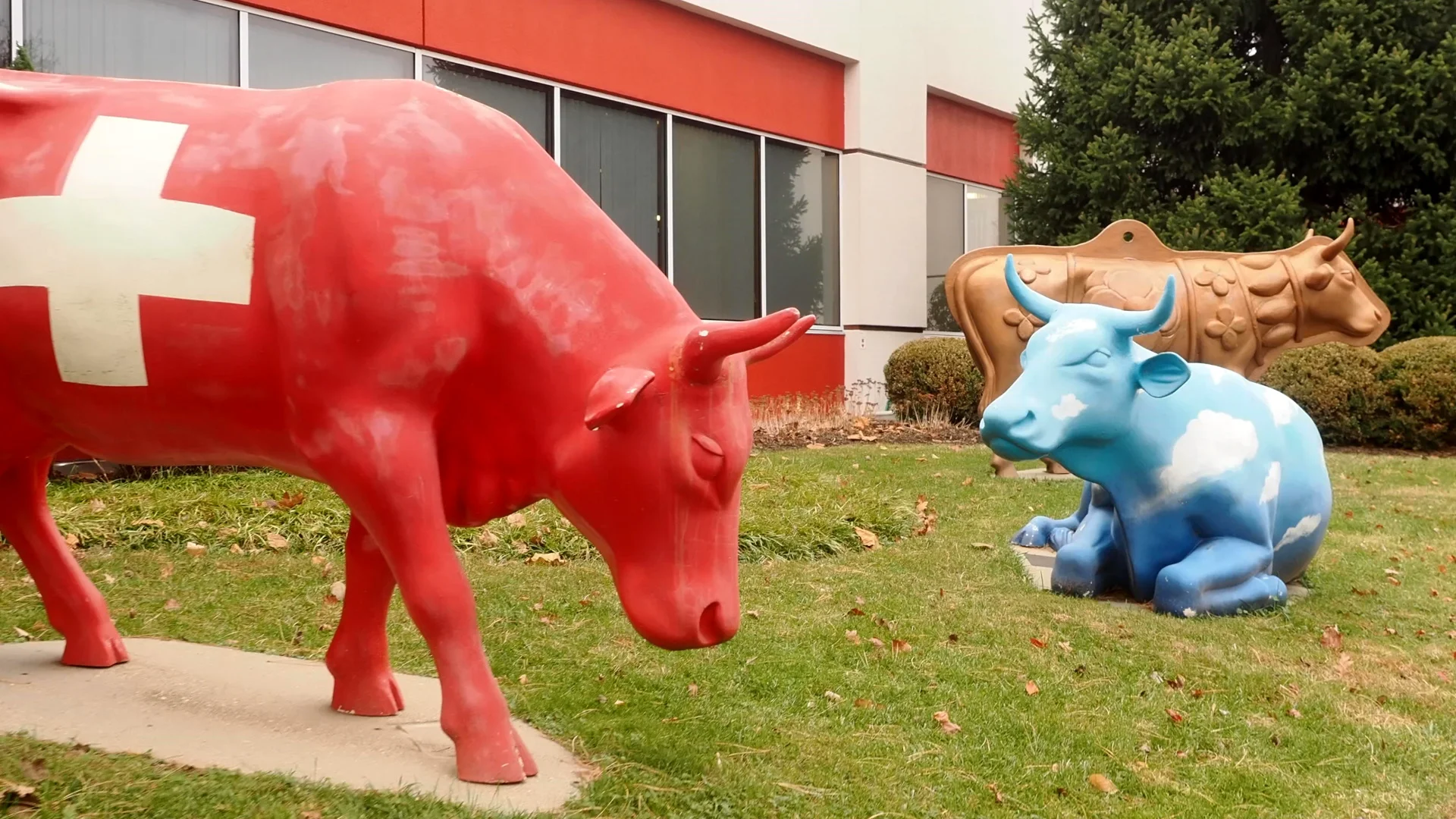 Innovation Video Board.mov on Vimeo