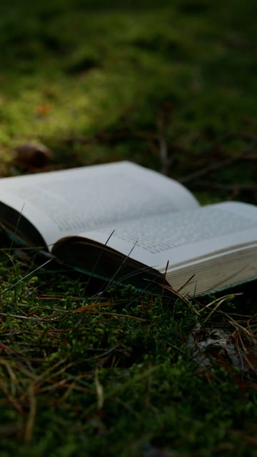 Book, Literature, Reading. Free Stock Video - Pixabay