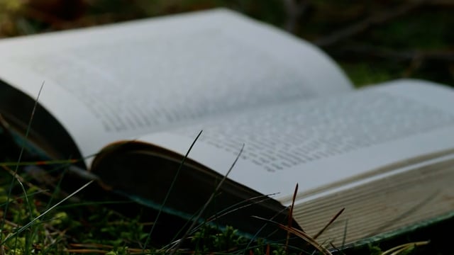 Book Literature Reading - Free video on Pixabay