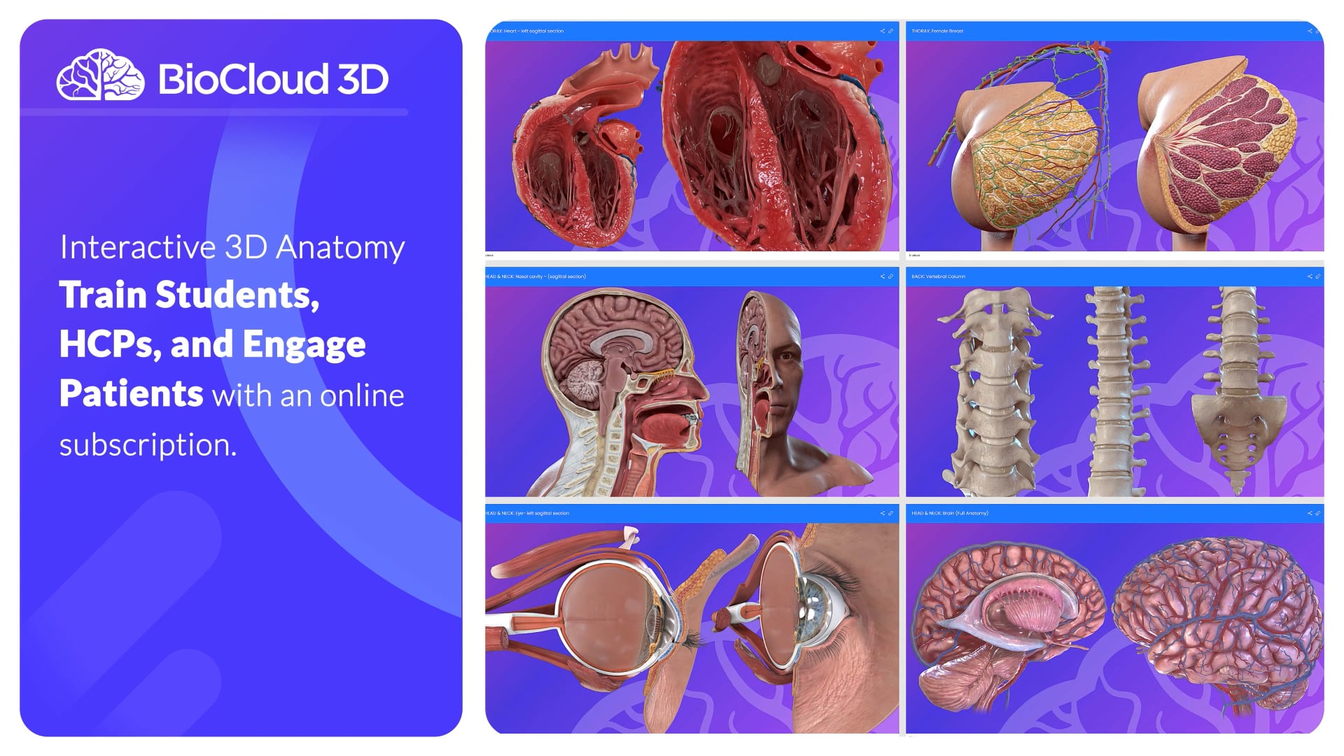 BioCloud 3D New Online Subscription on Vimeo