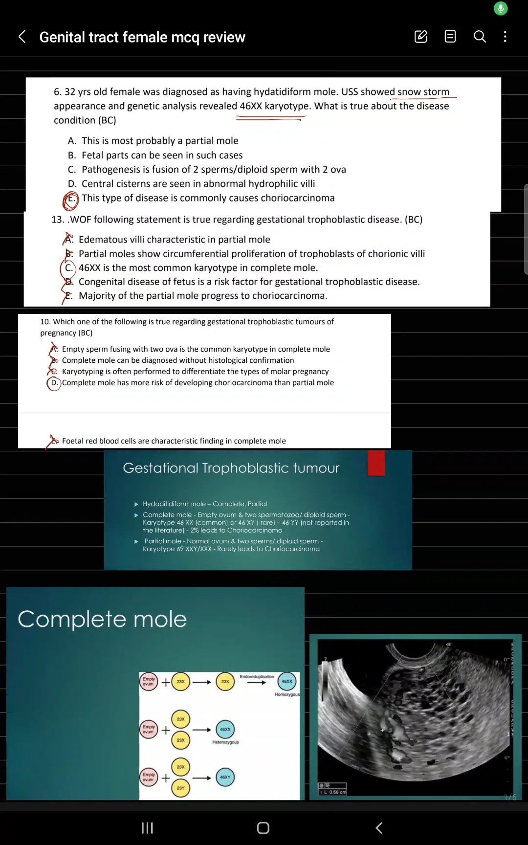 Screen_Recording_20221204-220616_Samsung Notes.mp4 on Vimeo