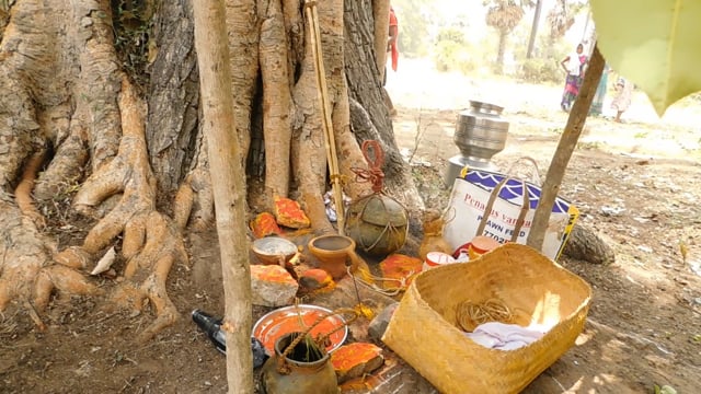 Adivasi Baiga Adivaasi - Free video on Pixabay - Pixabay