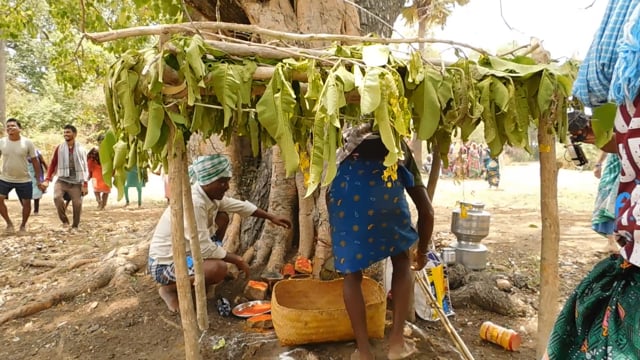 Aadivasi, Adivasi, Baiga Adivasi. Free Stock Video - Pixabay