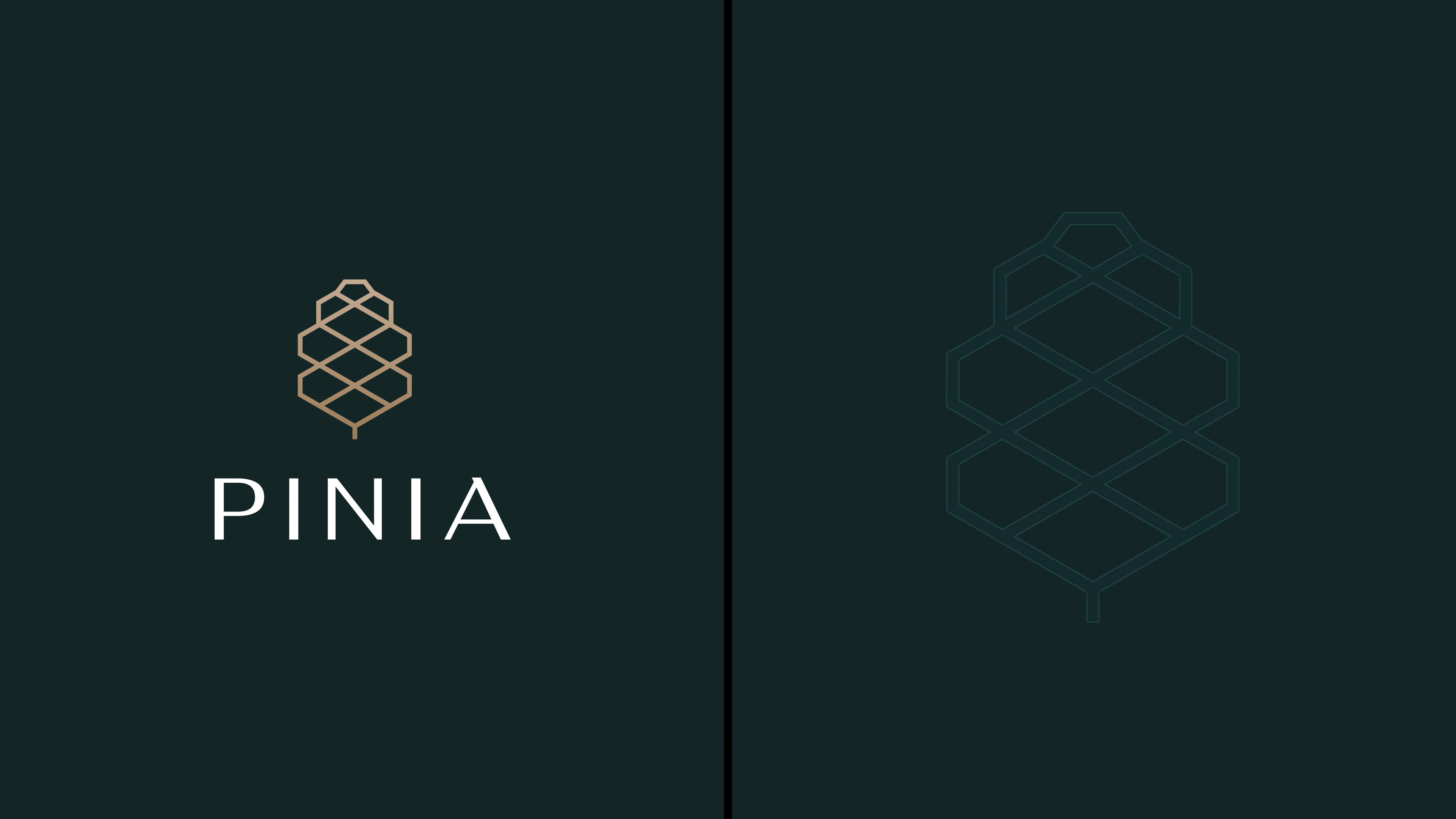 logo PINIA - final EN - 02.mp4 on Vimeo