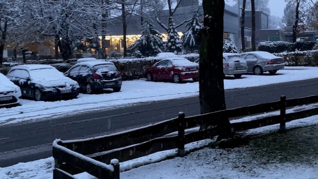 Snow Snowfall Winter - Free video on Pixabay